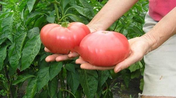 Назад в СССР (заключительная) Часть 14