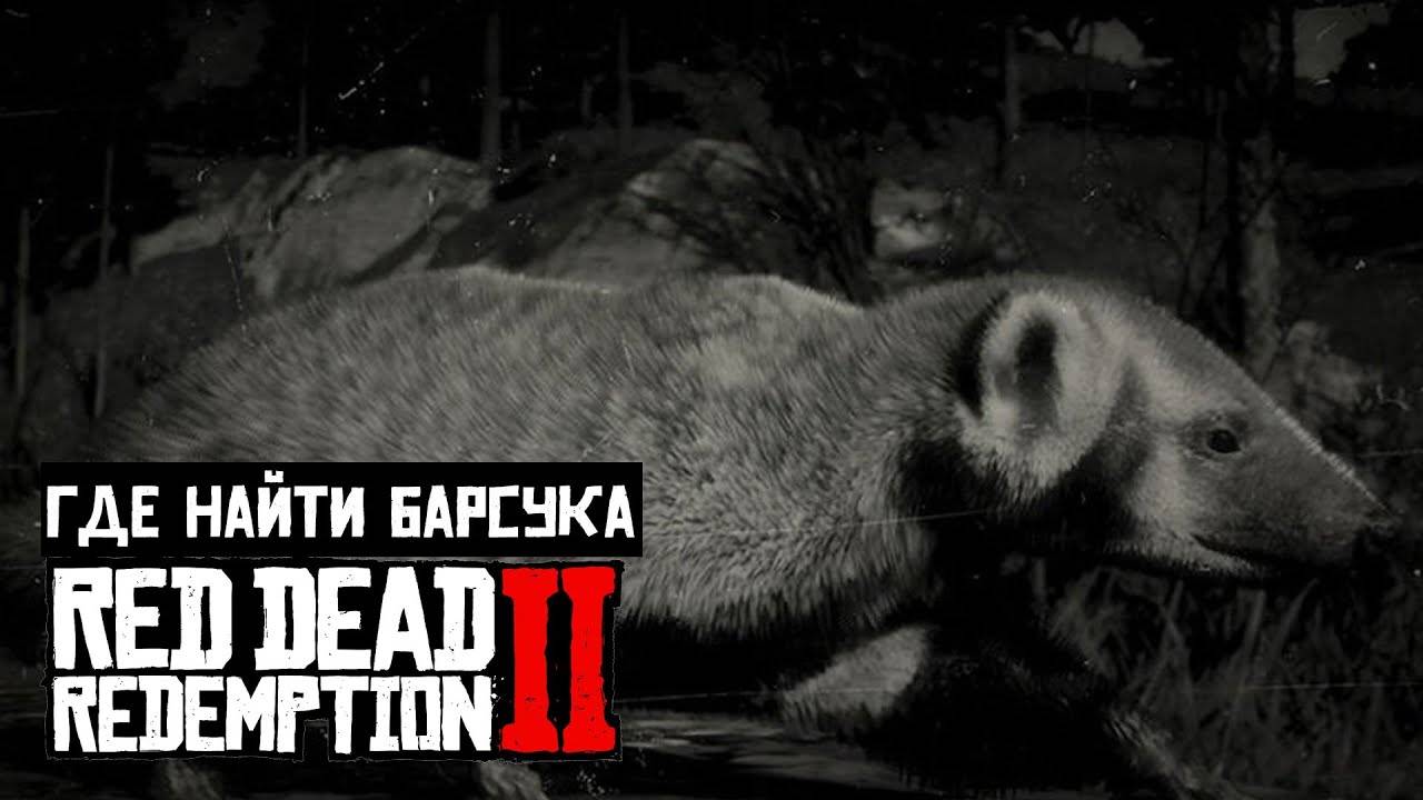 Где найти Барсука в Red Dead Redemption 2