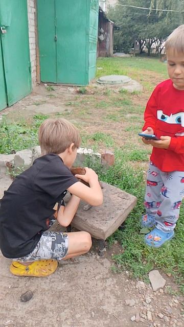 Игры с котенком.mp4