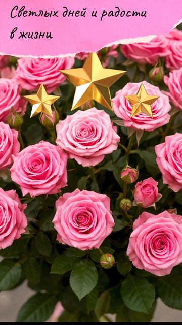 Открытки девушке 🍰ко дню рождения🍰 с 🌸розовыми розами🌸 - бесплатно