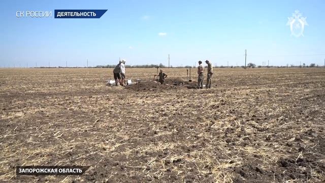 Раскопки у поселка Новое Акимовского района. 09.08.2025