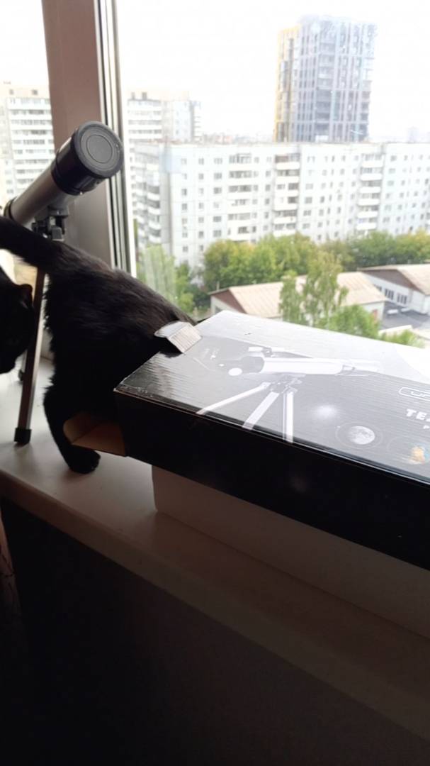 Брошенки-эпизод3