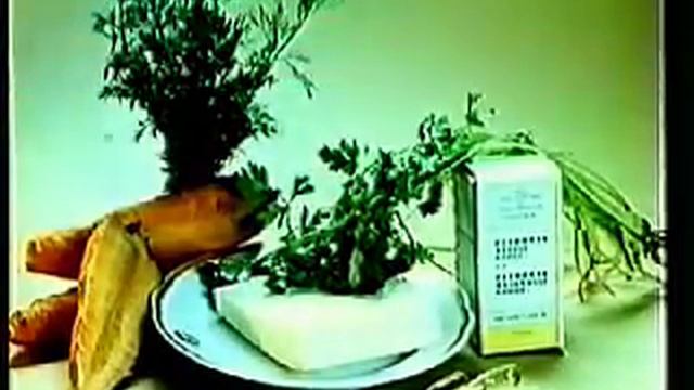 Анатомия человека- Зрение