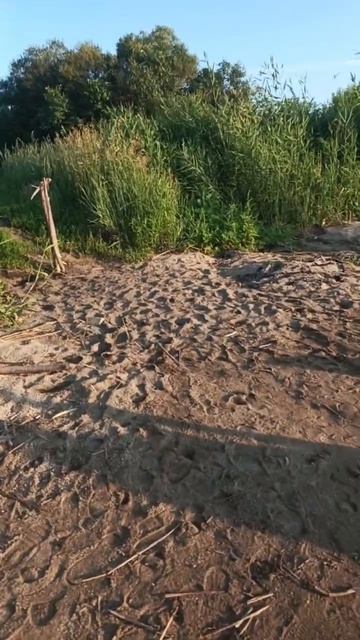 Обмывания стрел