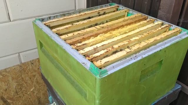 Отбор рамок. Медовый спас.