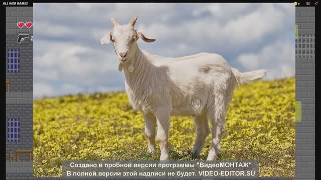 Прохождение игры Нуб против Читера - Побег из тюрьмы ШУТЕР СТРЕЛЯЛКА