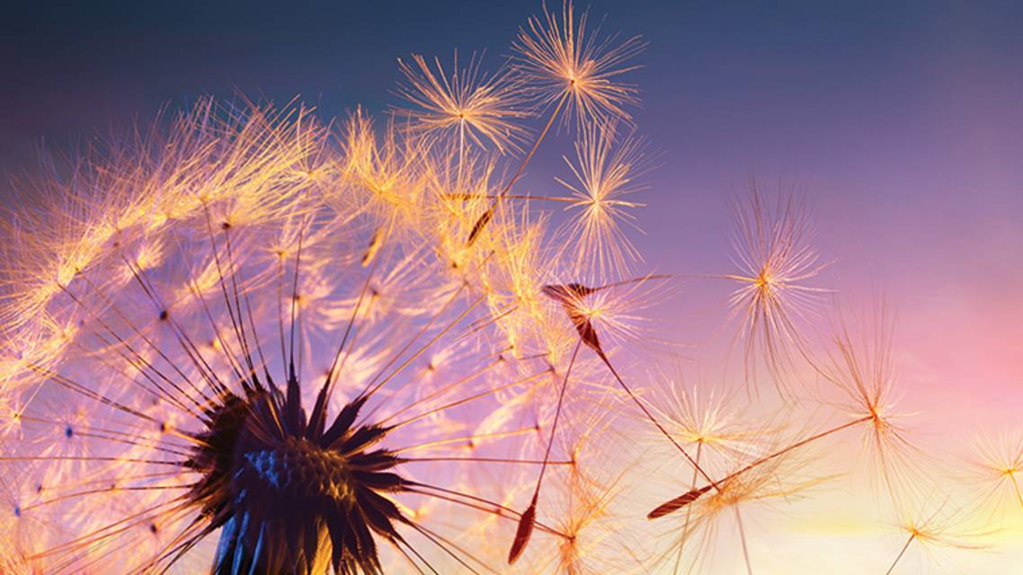 Эннио Морриконе. Плач ветра