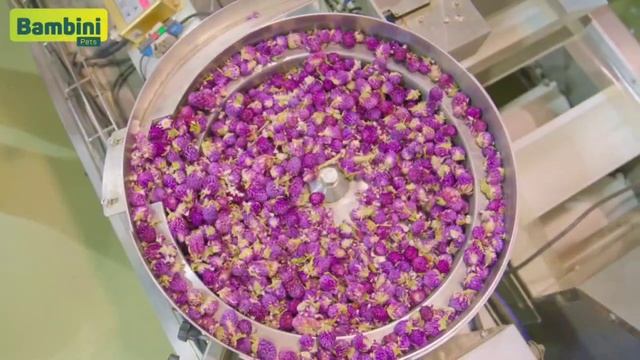 Производство Bambini pets