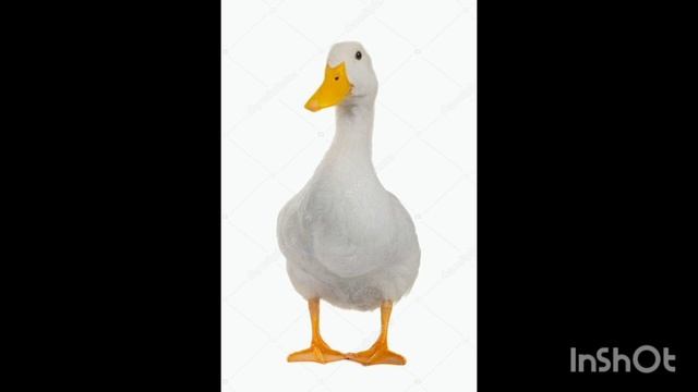 Кузьма и его Друзья (Клинок) - Утка 🦆 Official audio