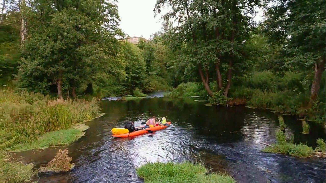 РЕКА УШНА. ПОДВОДНЫЙ МИР