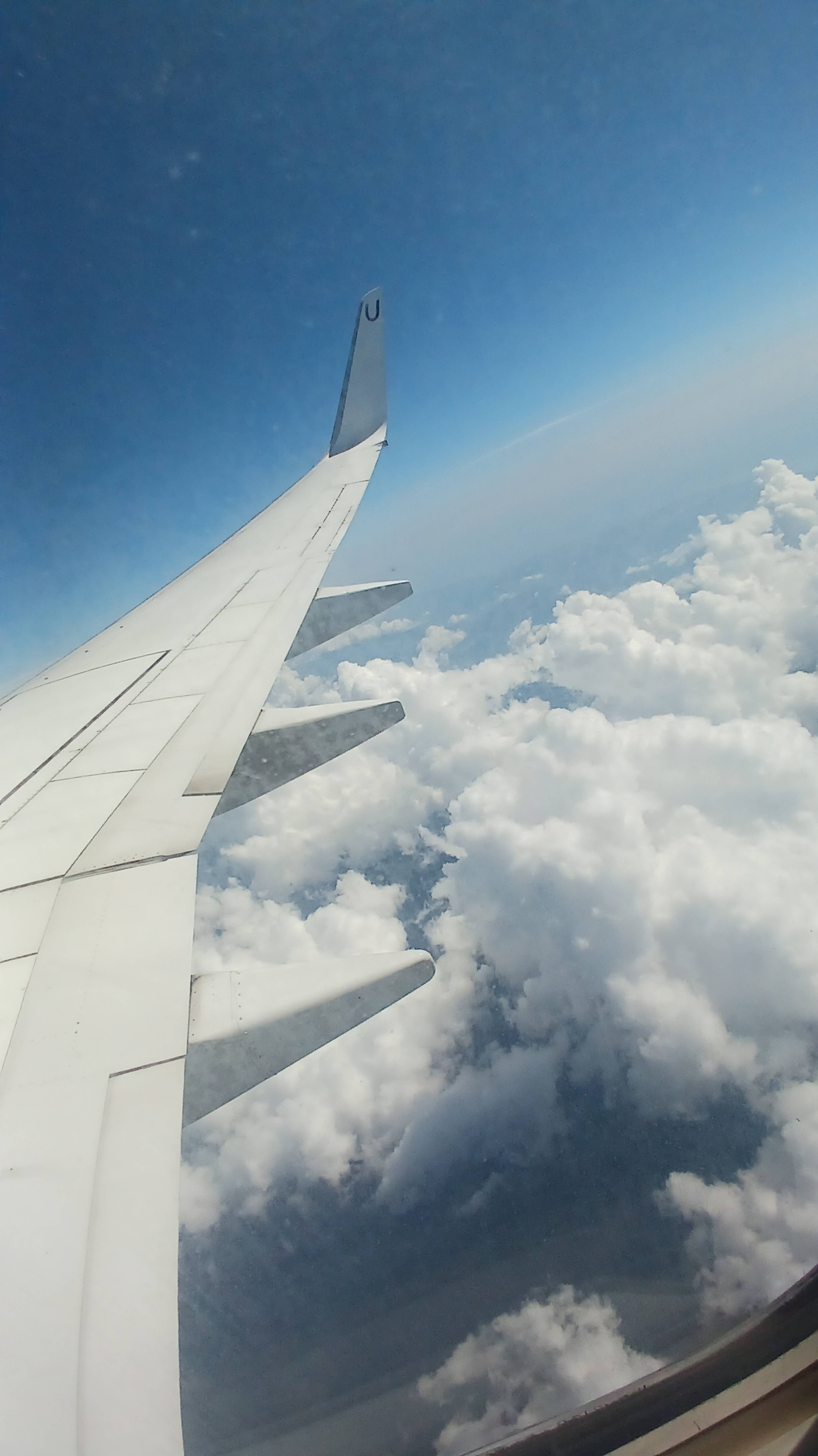 Возвращение домой