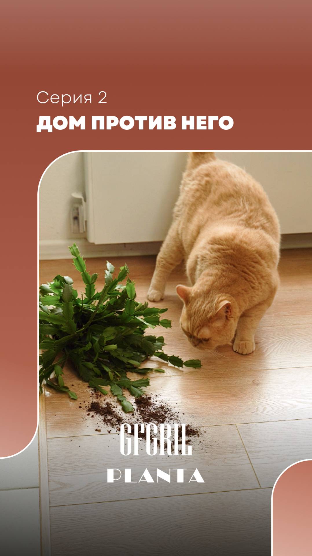 День снова решил проверить нашего героя на прочность #сериал #семья