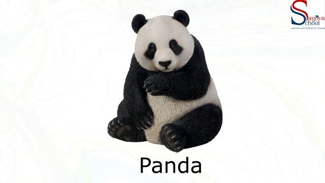 Урок 1. Изучаем животных.