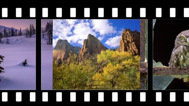 Skin Diver - Paper City