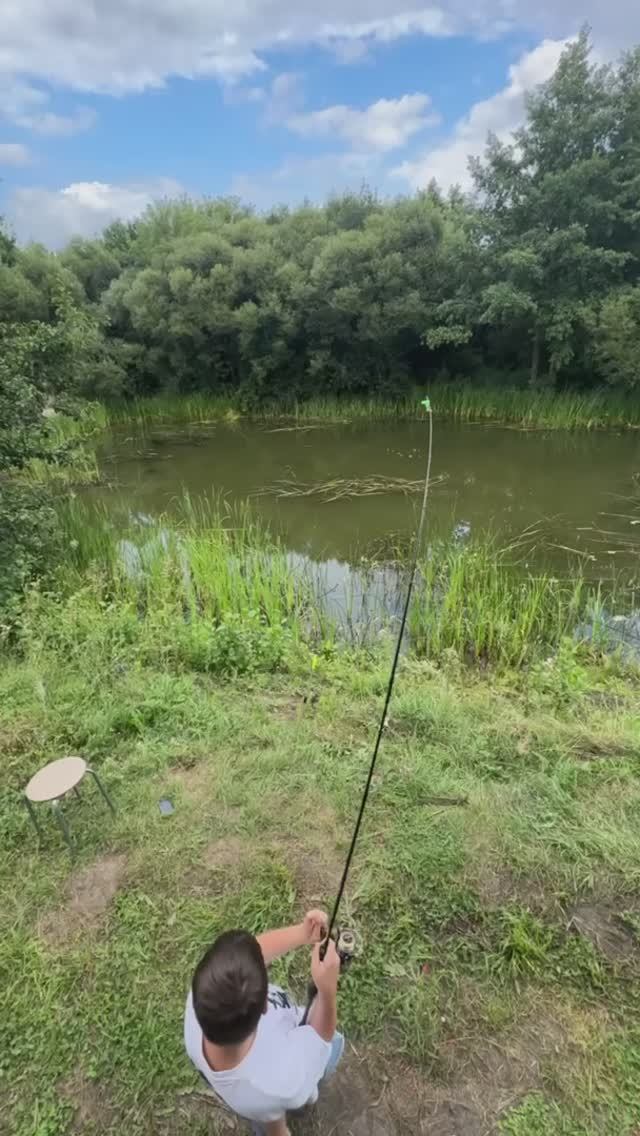 пруд у домика, крупный карась, золотой видимо.
