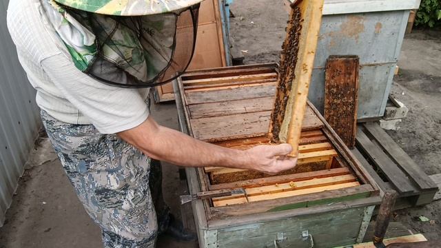 Одна строчит а другая не хочет.