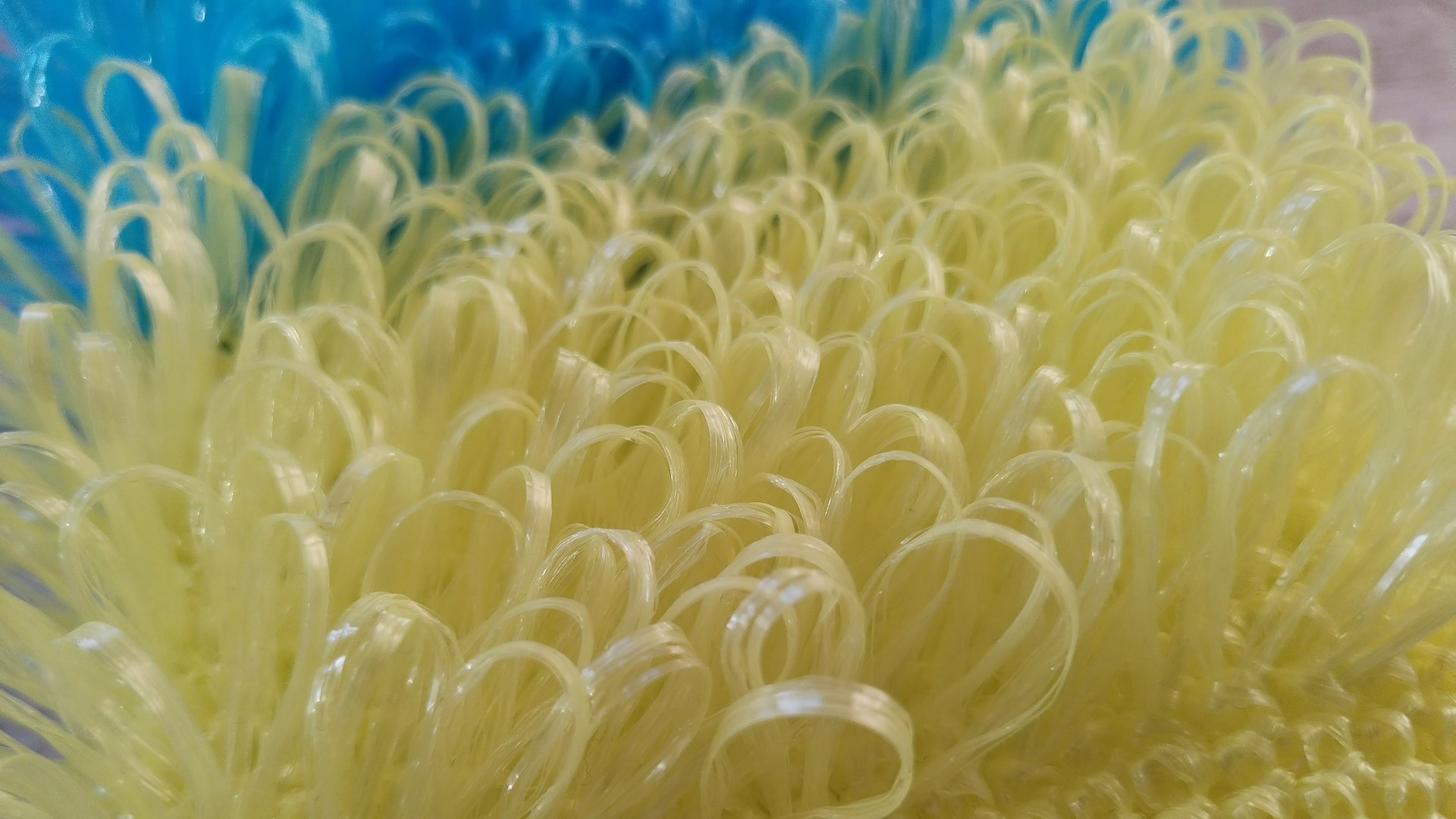 Вкусные мочалки , август 2025