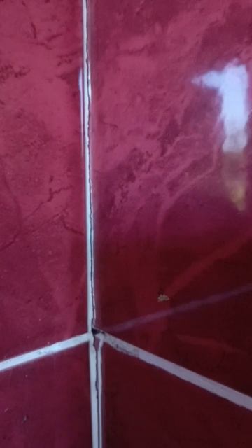 Стояк канализации.