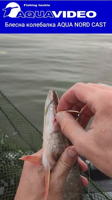 🎣 Рыбалка с блесной AQUA NORD CAST.