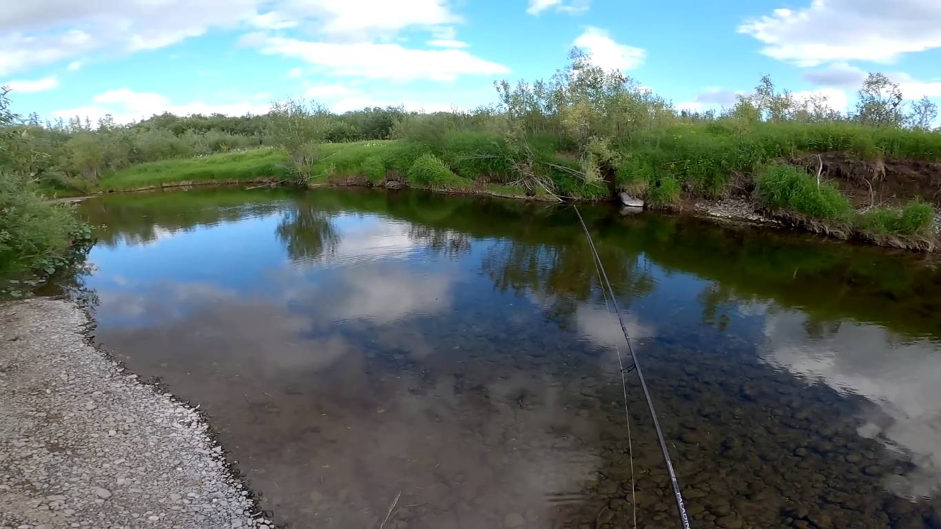 Мы вновь на реке Северная, рыбалка по низкой воде. Часть 2.
