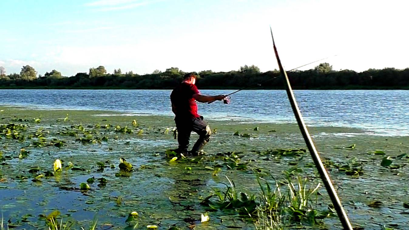 Рыбалка на спиннинг в августе! Рыбалка на вертушку 2021!