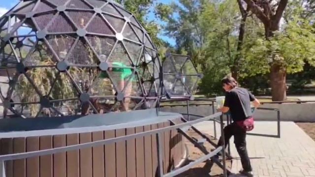 🧡 Вольер в виде шара теперь есть не только у бурых капуцинов, но и у пернатых.