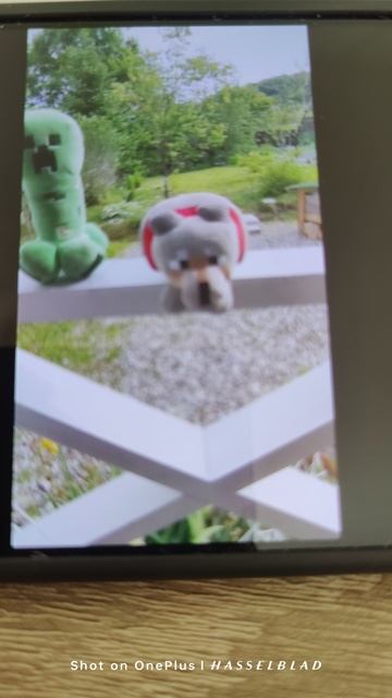 ДЭНИС И КРИПОНЯ УПАЛИ В ДРУГУЮ ТЮРЬМУ И СБЕЖАЛИ ИЗ НЕЁ