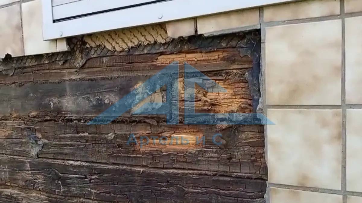 Дефекты дерева