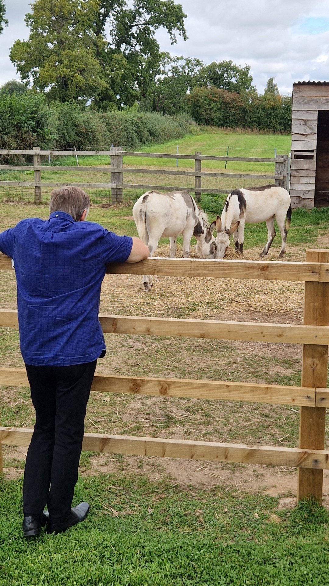 И ЗЕЛЁНЫЙ ПОПУГАЙ!