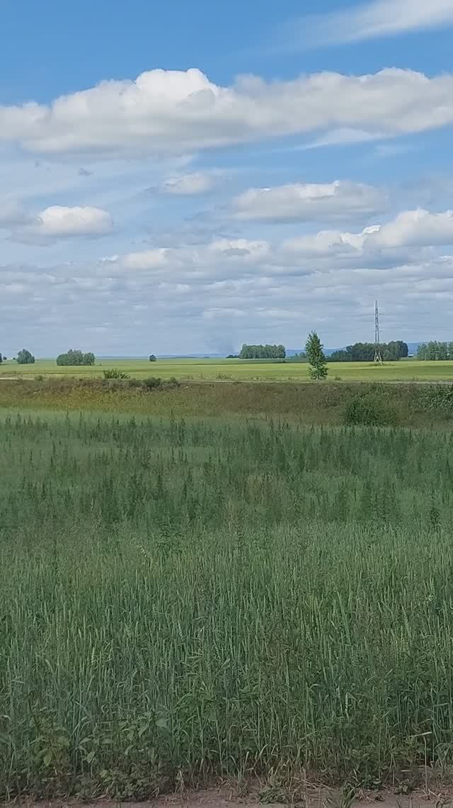 На выезде из леса!)