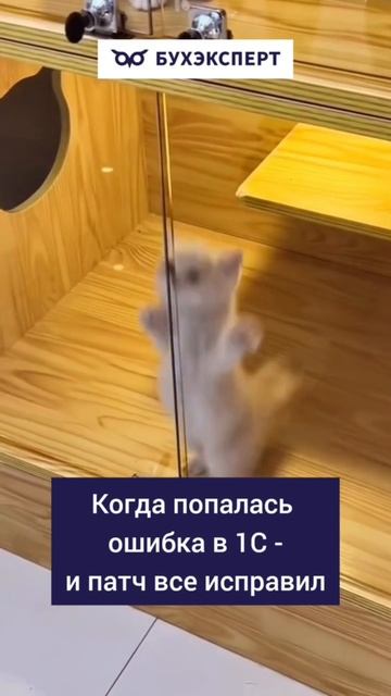 Когда попалась ошибка в 1С — и патч все исправил #бухюмор