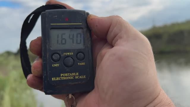 карп на 1,650 на удочку