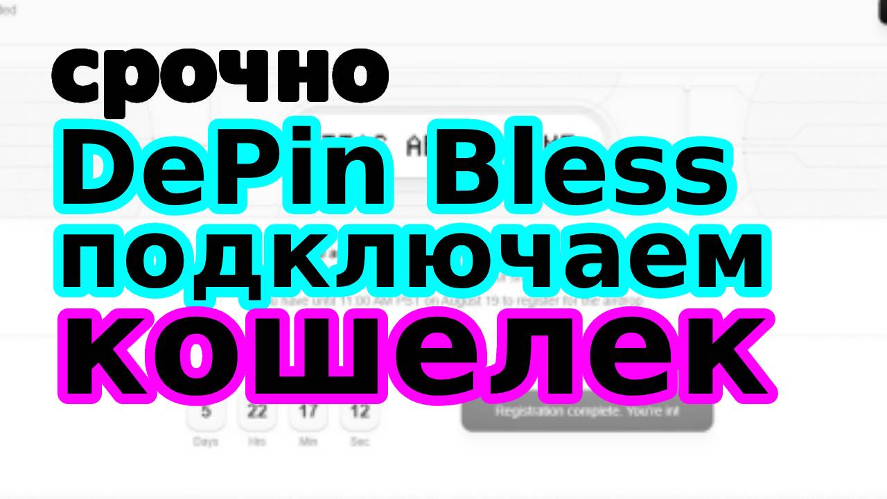 DePin Bless подключаем кошелек срочно