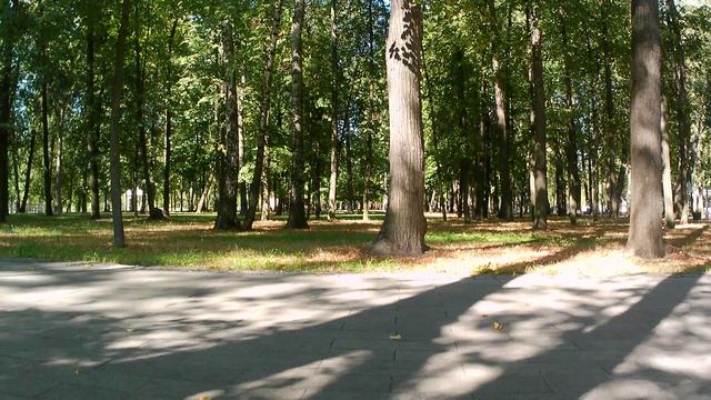 Ода таракану