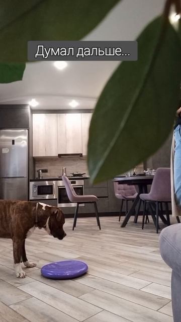 Tcenniy Prize Poker 14m.