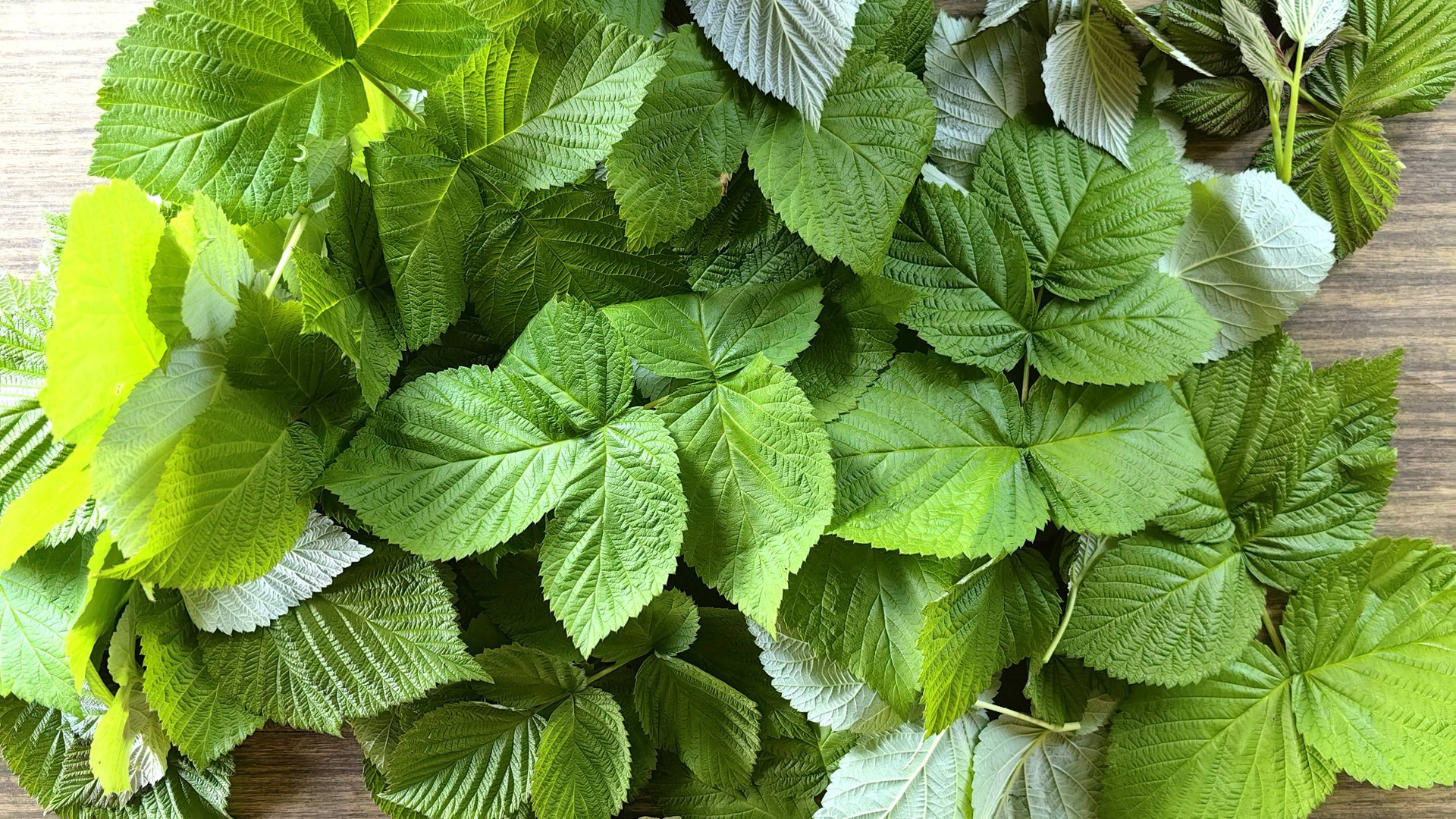 Когда и как заготавливать листья малины для чая