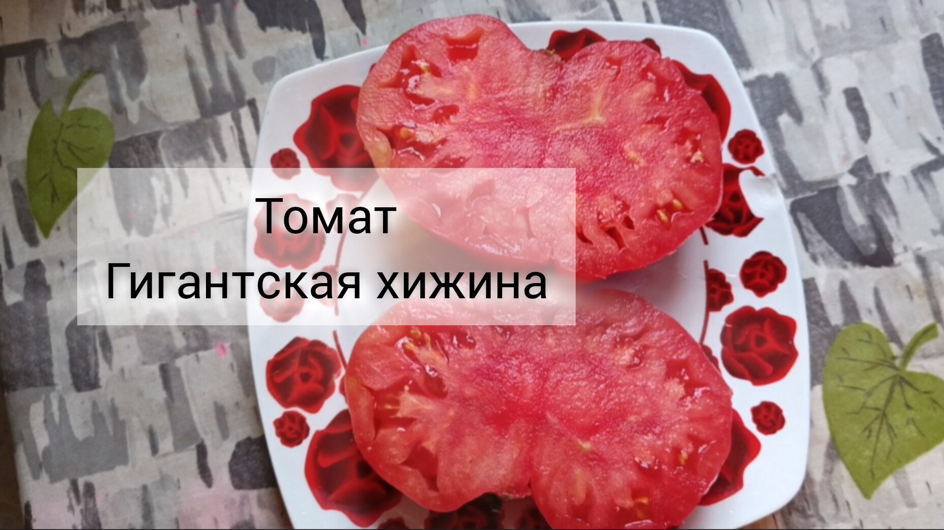 🍅☝️ Томат Гигантская хижина