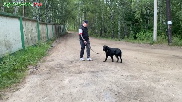 Новости Зеленодольска 15.08.2025