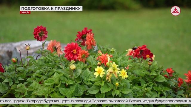 Урай готовится ко Дню нефтяника