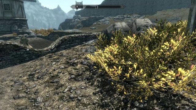 TES V: Skyrim. Приключения Кокоса. Лагерь бандитов под Вайтраном.