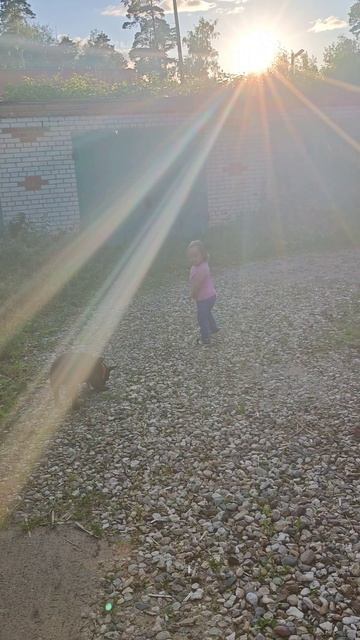 Навстречу Солнцу...