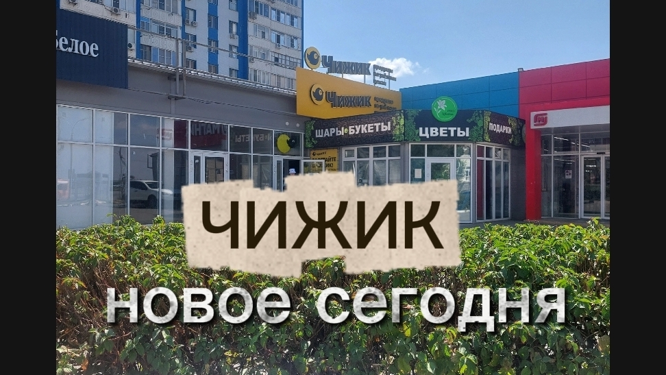 С самого утра в ЧИЖИК Лето Школа Обзор Выгода