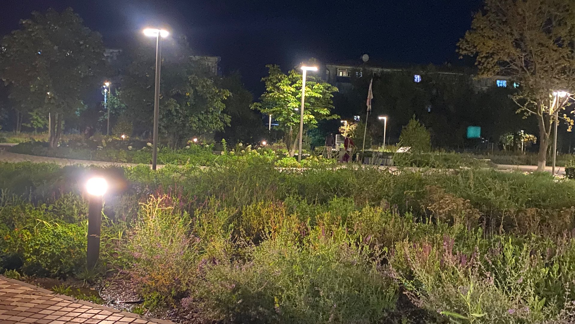 Вечерняя прогулка с любимкой 💕