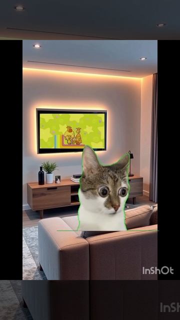 InShot_20250816_220620779