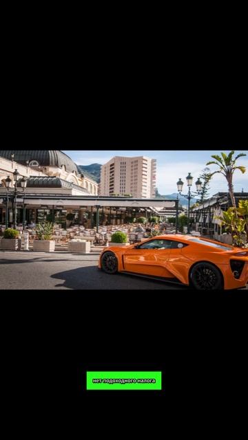 Кто живет в Монако