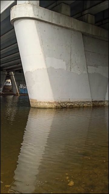 Река Пахра в Подольске у моста 22.08.2022