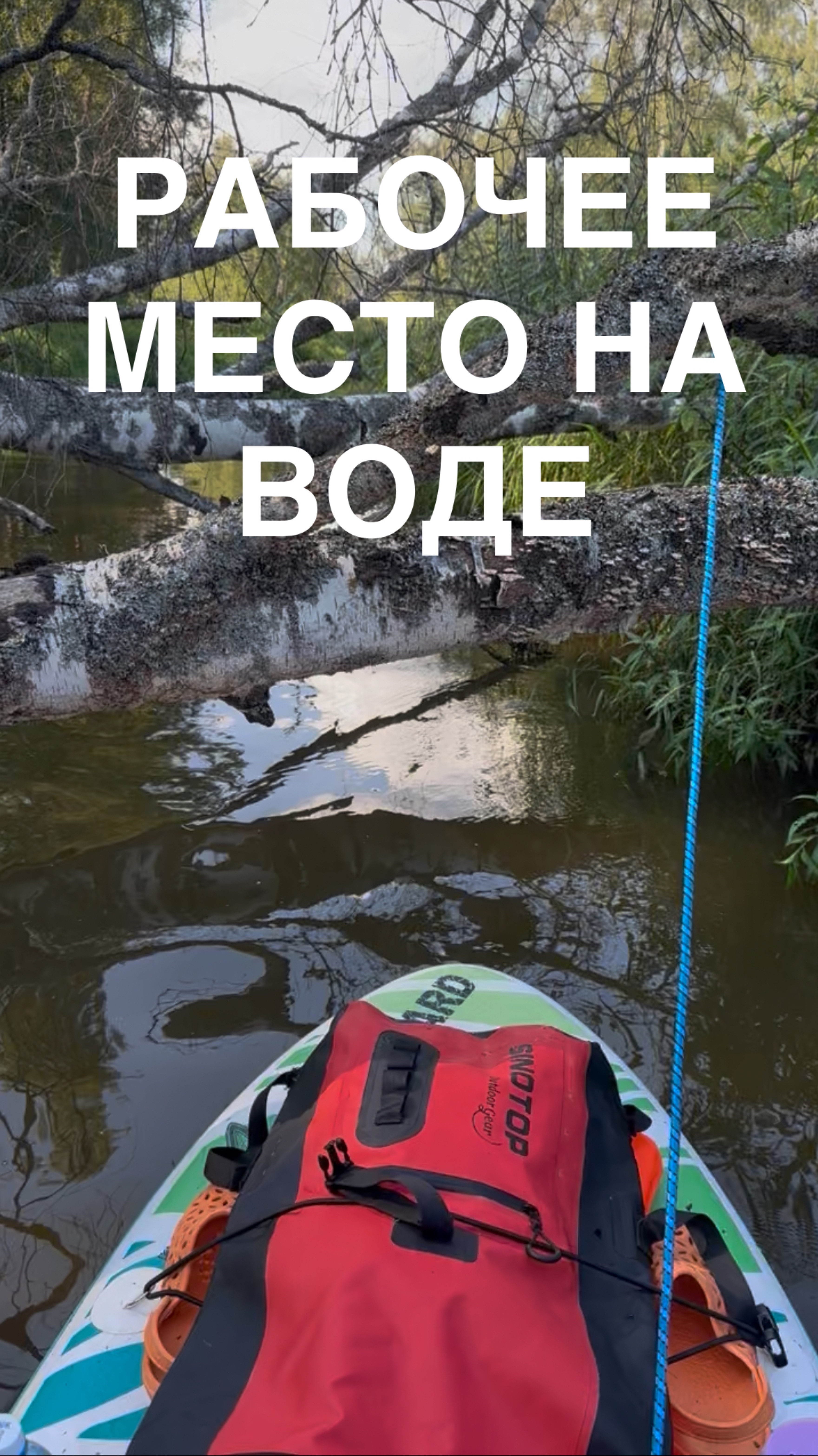 💻 Рабочее место на SUP