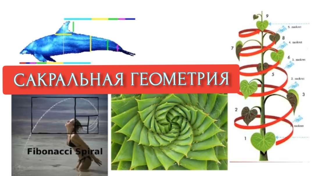 САКРАЛЬНАЯ ГЕОМЕТРИЯ / Фильм полностью