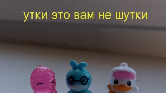 утки это вам не шутки в Дикси🤯🤯