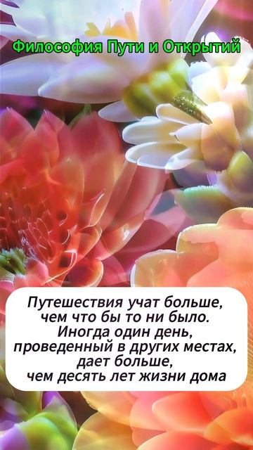 🦌 Дорогами Дикой Природы | Открой сердце приключениям! #закат,#спокойствие,#молчание,#ручей